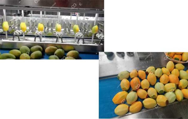 Máquina peladora de frutas de mango industrial a la venta